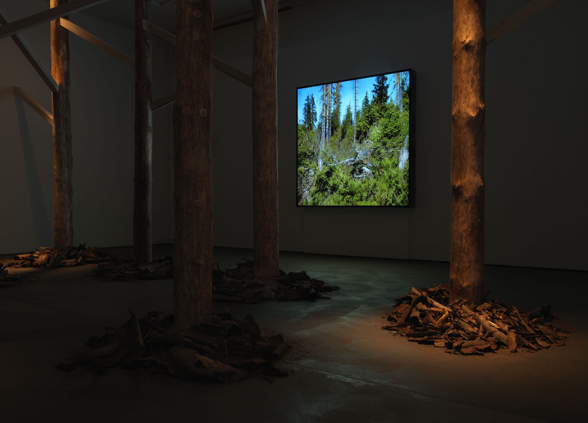 The Importance of Physical Art and the Future of Local Culture at ...