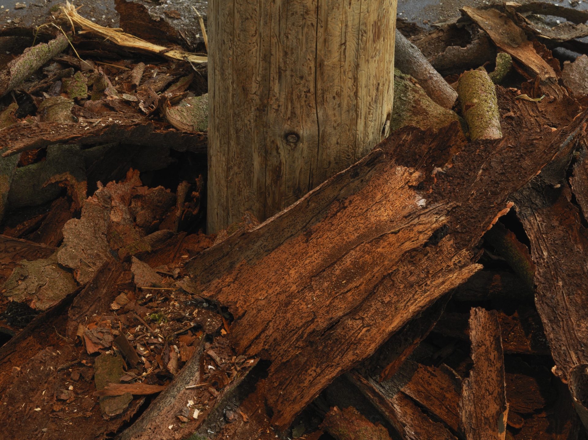 The Importance of Physical Art and the Future of Local Culture at ...