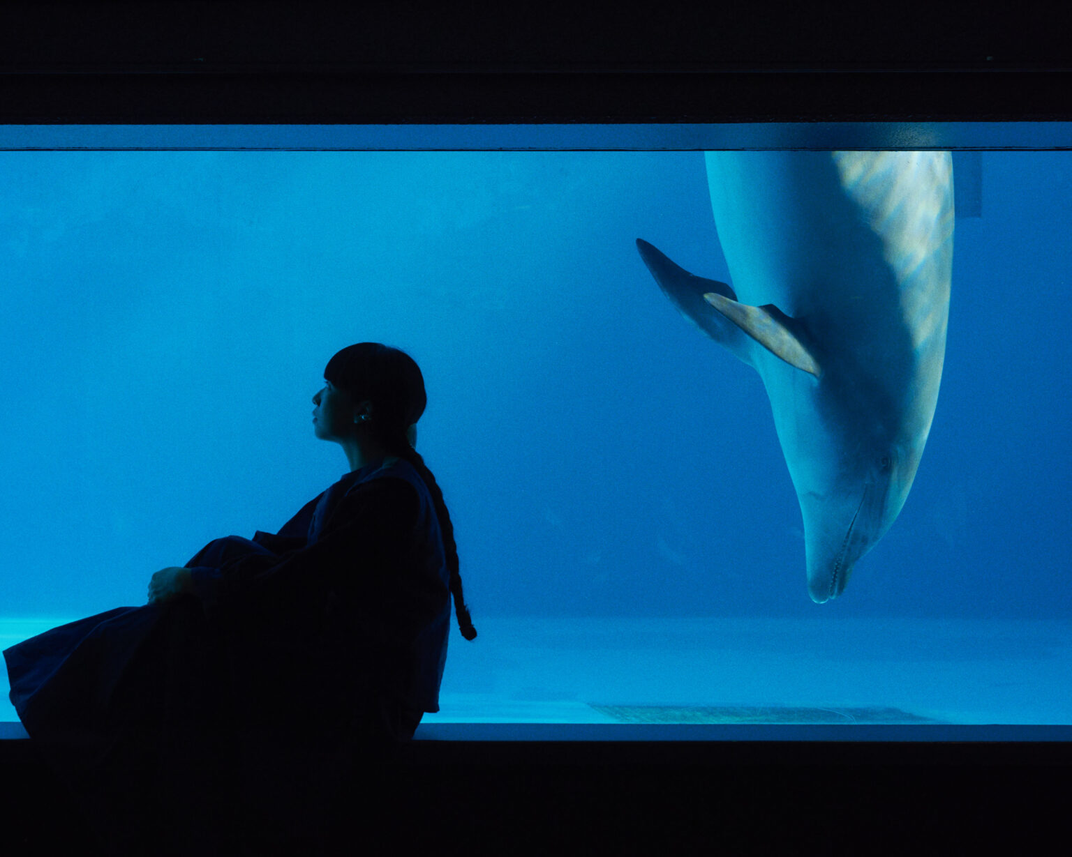Ichiko Aoba, Taro Umebayashi, and Kodai Kobayashi discuss Windswept ...