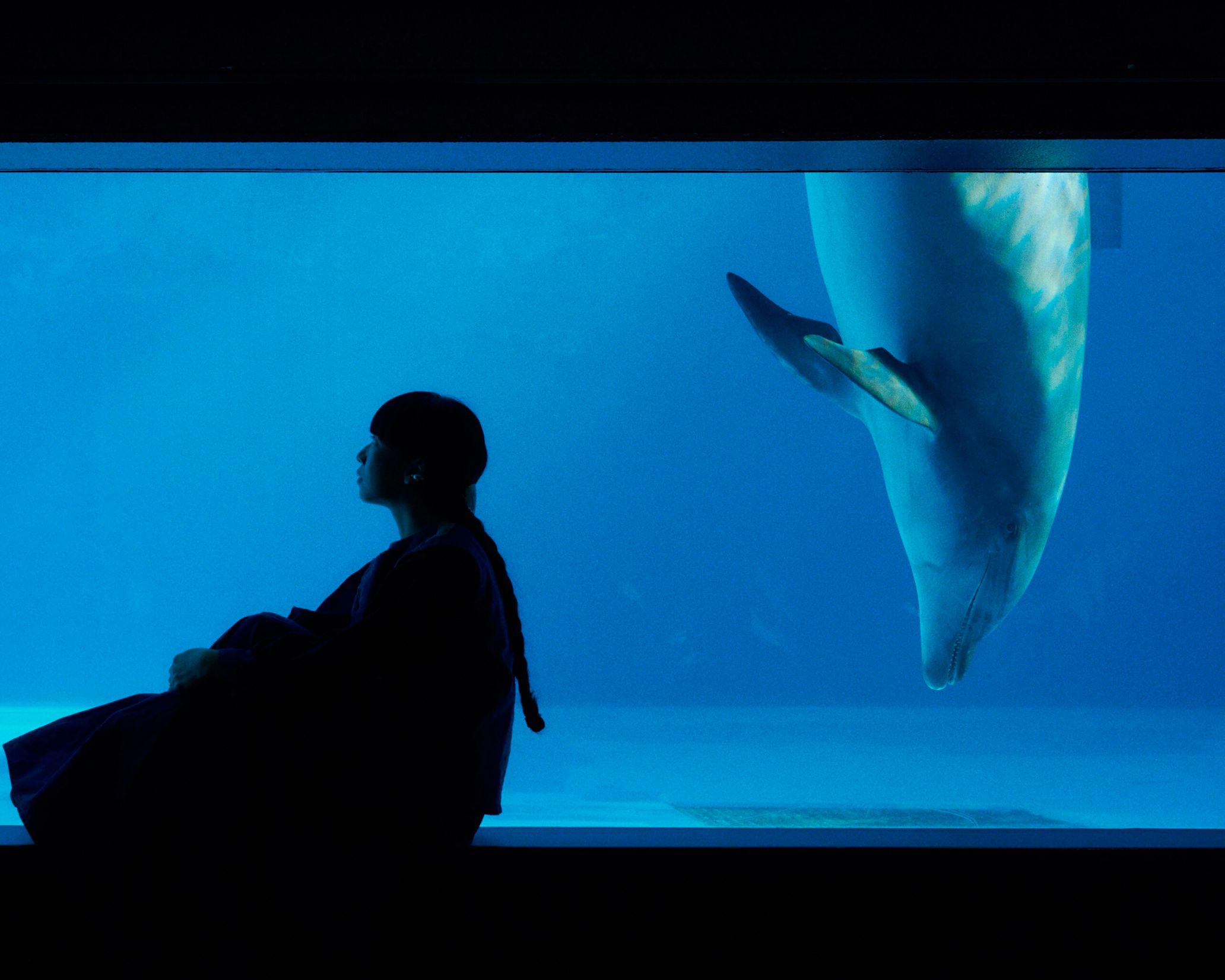 Ichiko Aoba, Taro Umebayashi, and Kodai Kobayashi discuss Windswept ...