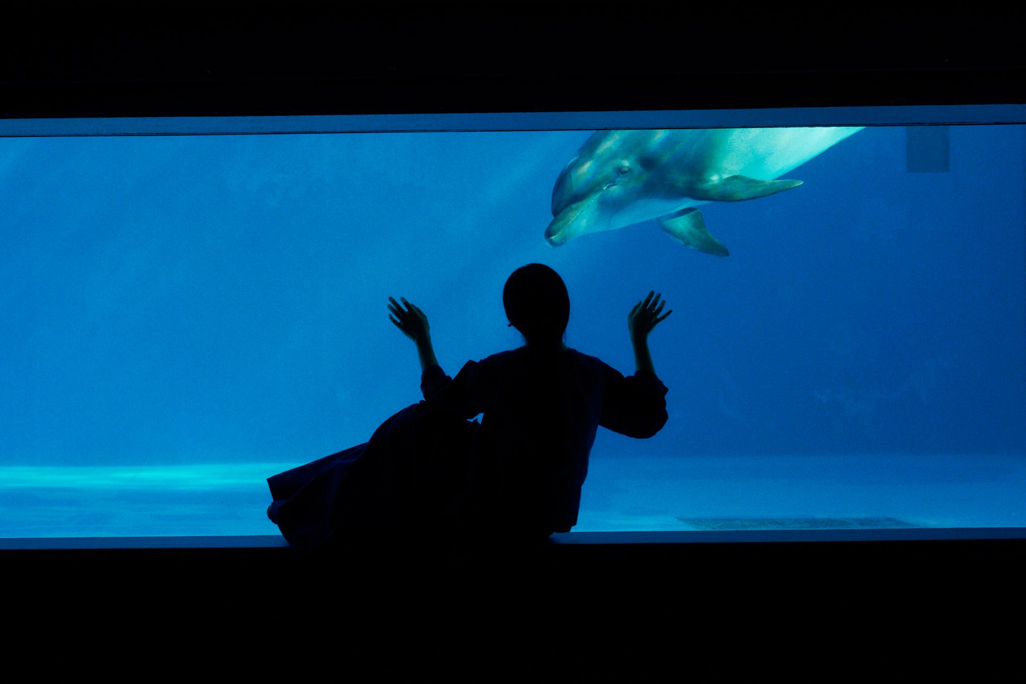 Ichiko Aoba, Taro Umebayashi, and Kodai Kobayashi discuss Windswept ...